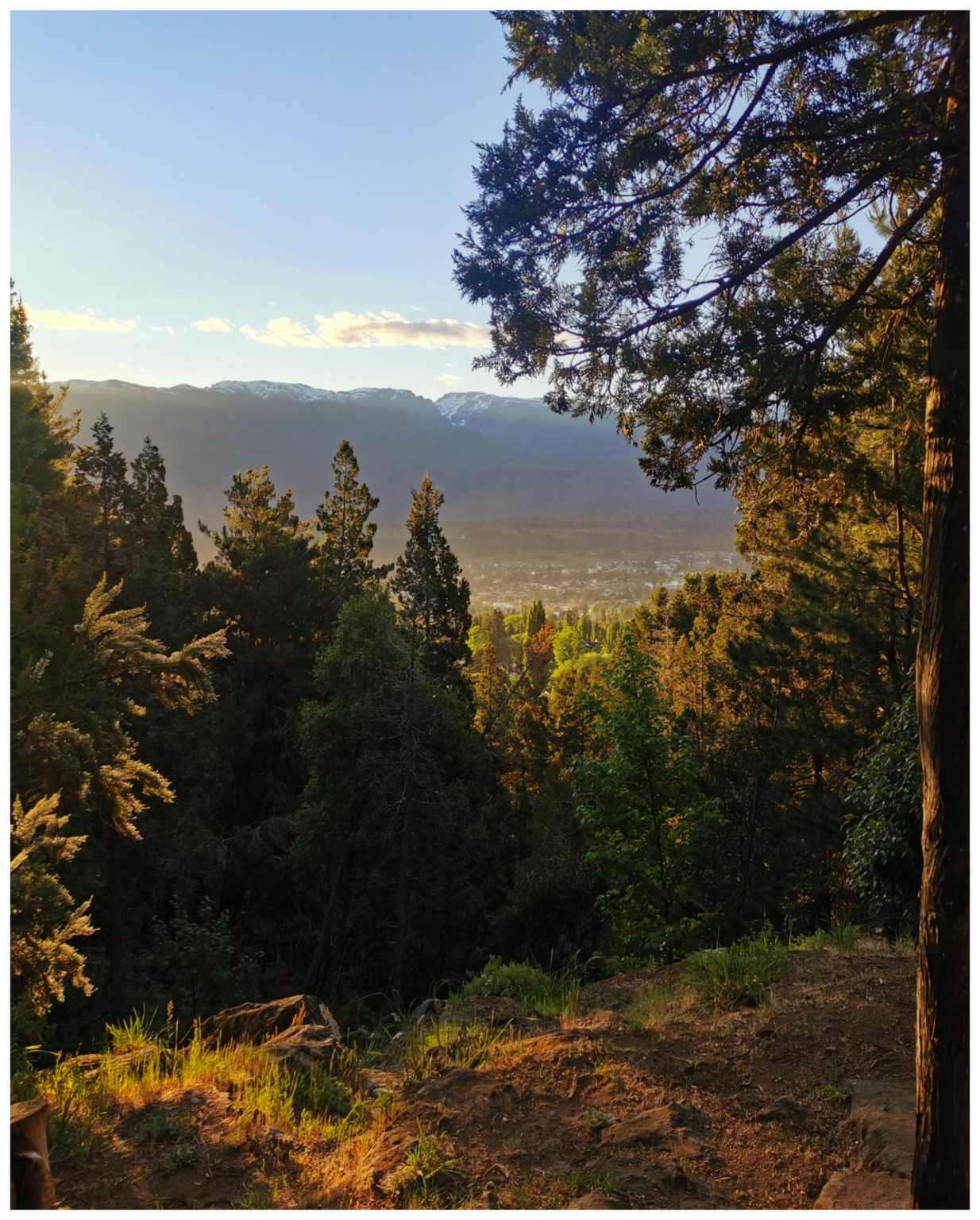 Hostel El Mirador en El Bolsón – Reseña de hospedaje – Viaja Con Marian